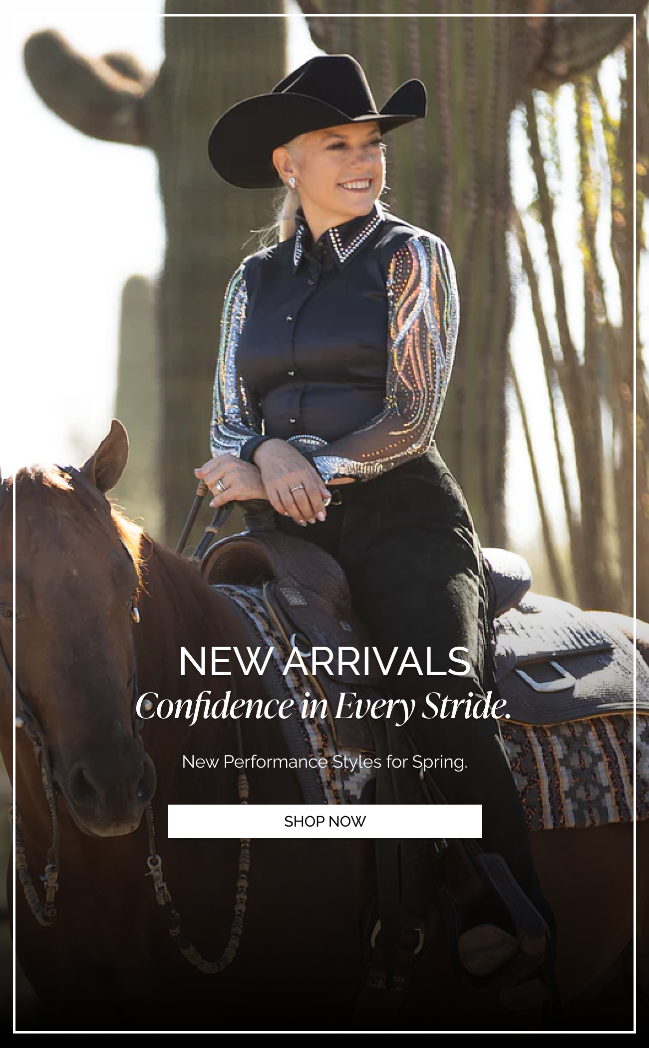 Western Horse Show Apparel – Hobby Horse Clothing Company Inc.
